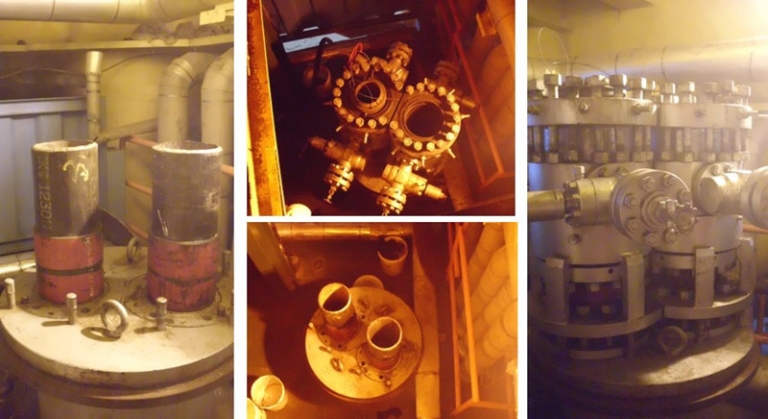 Single column dual-well thermal recovery wellhead
